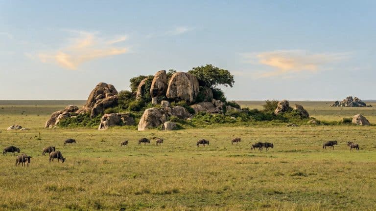 Maasai Kopjes – African Safari Tours & Award Winning Vacations to East ...